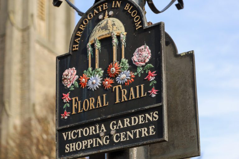 Harrogate: 8 amazing things to do – PurPurPurPur