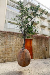 Old City Jaffa: The Best Landmarks | PurPurPurPur