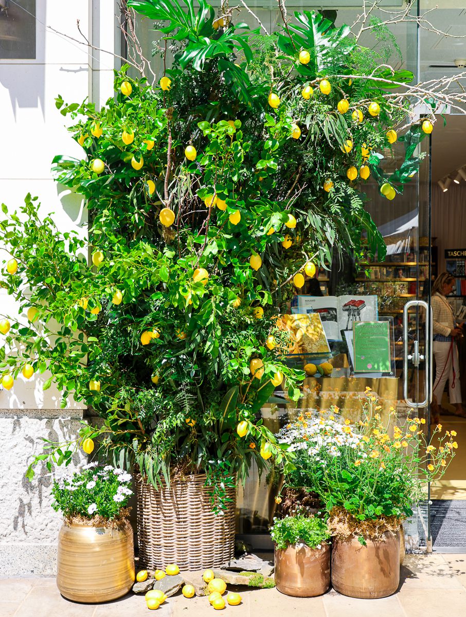 Chelsea In Bloom 2024: best Floral Feasts displays – PurPurPurPur